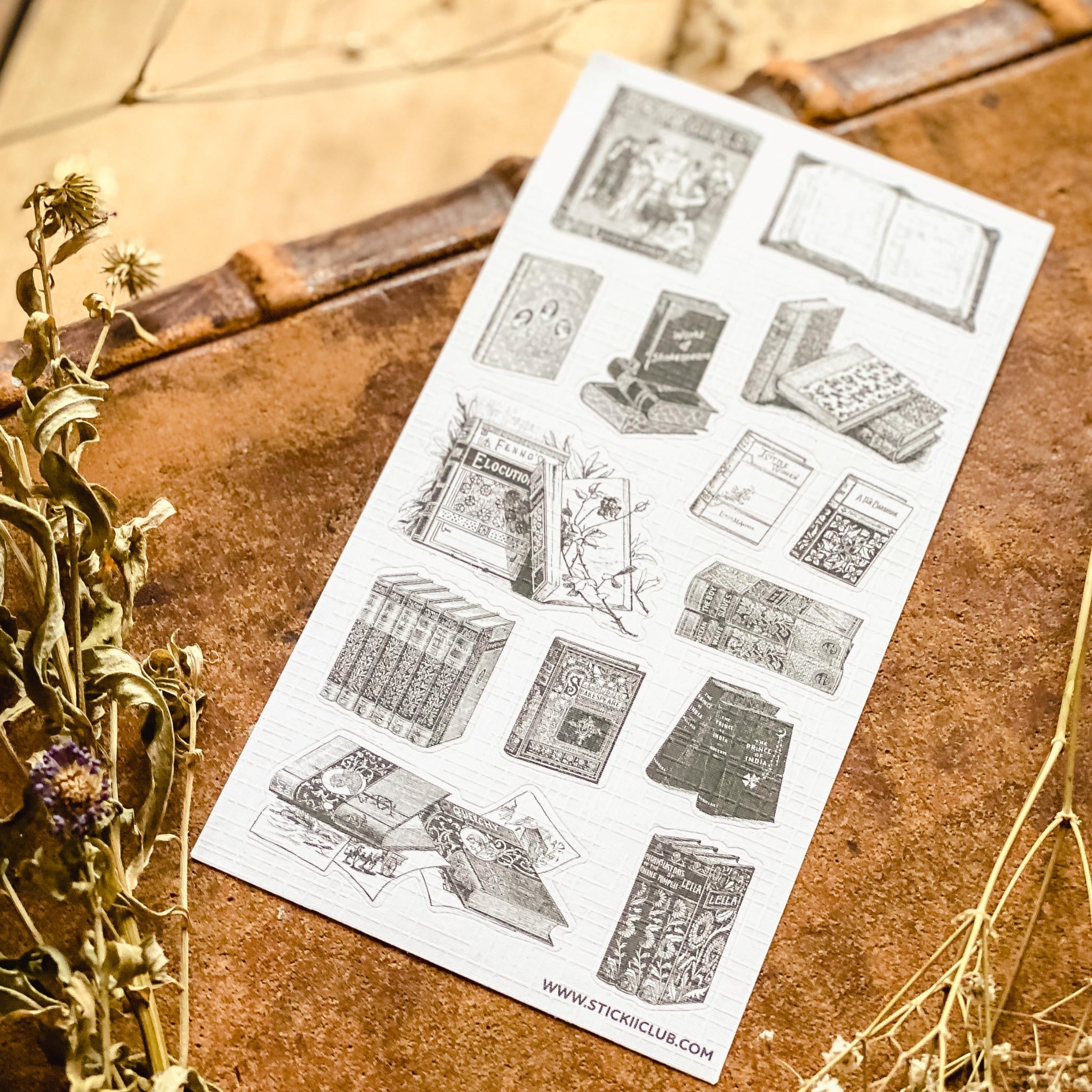 Antique Library Sticker Sheet – STICKII