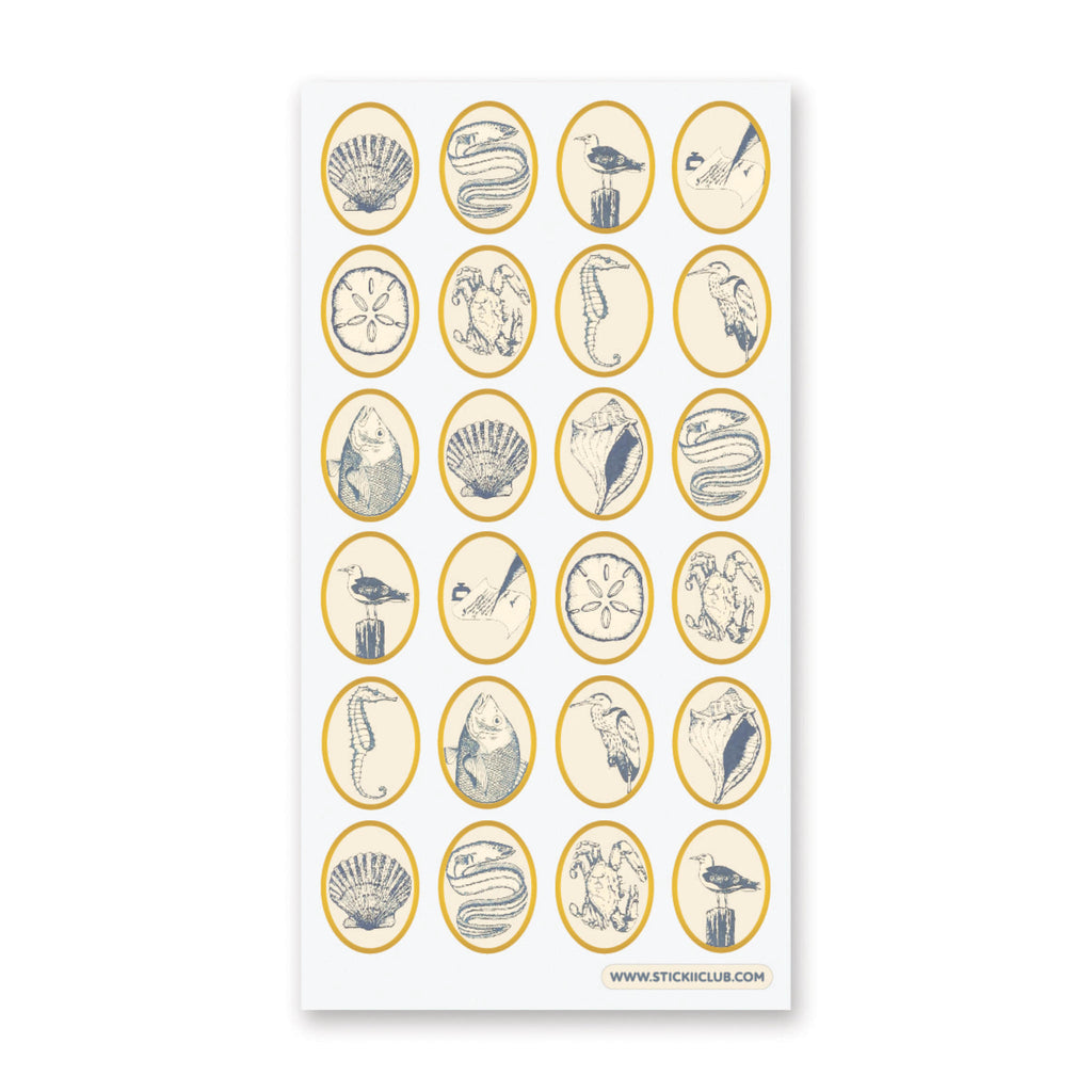Coastal Seals Sticker Sheet – STICKII